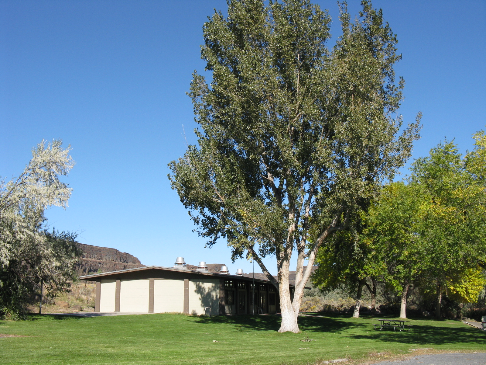 Camp Delany Fall 2014 007 | Olympic Astronomical Society