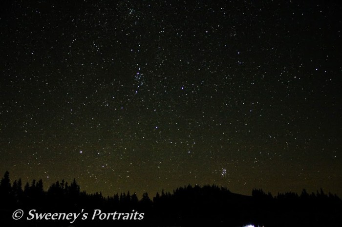 Hurricane Ridge Star Party Gallery | Olympic Astronomical Society