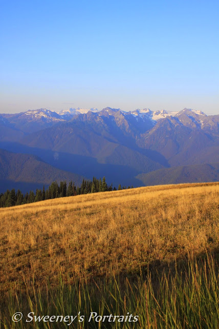 Hurricane Ridge Star Party Gallery | Olympic Astronomical Society