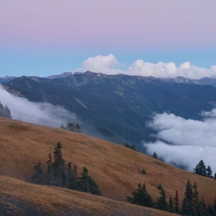 Hurricane Ridge Star Party Gallery | Olympic Astronomical Society