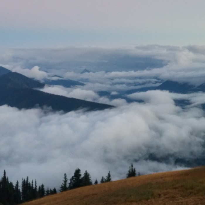 Hurricane Ridge Star Party Gallery | Olympic Astronomical Society