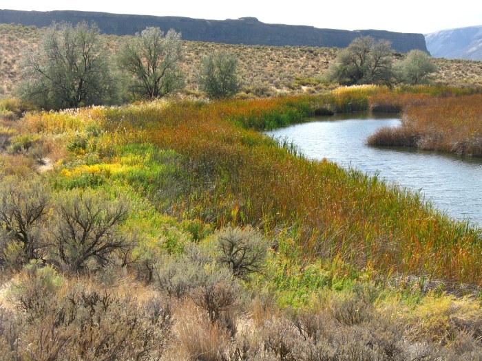 Camp Delany Star Party Gallery | Olympic Astronomical Society