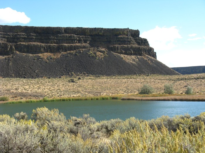 Camp Delany Star Party Gallery | Olympic Astronomical Society